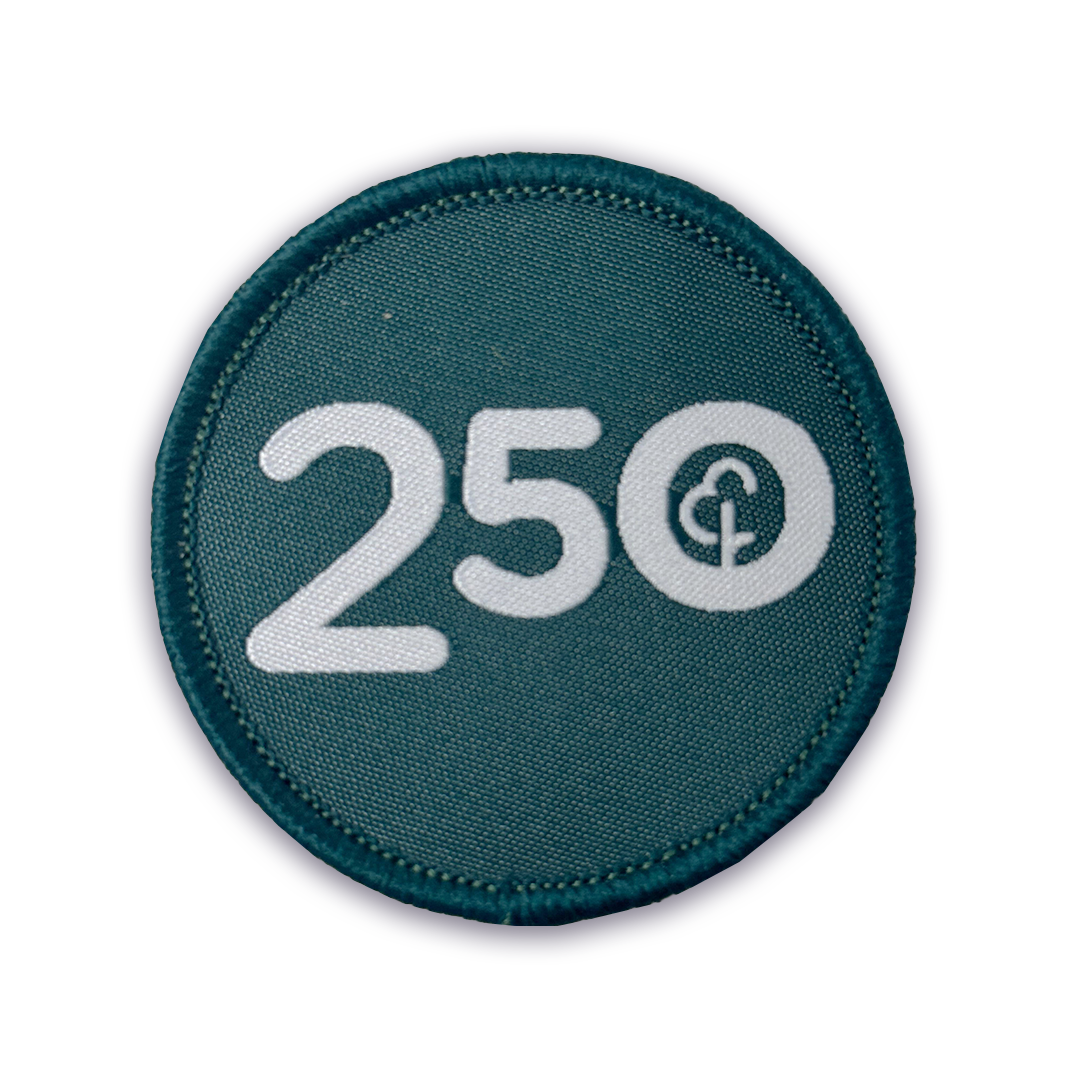 Run/Walk 250 Milestone Woven Patch – parkrun Asia Pacific